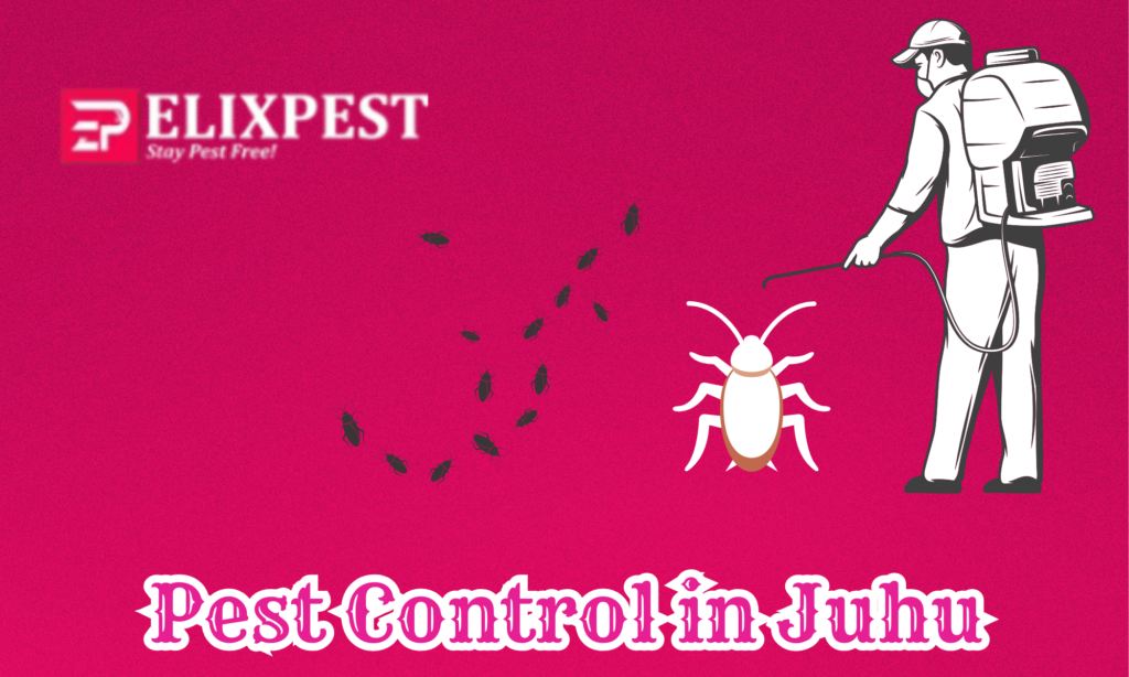Pest Control In Juhu | Mumbai Pest Control - Elixpest